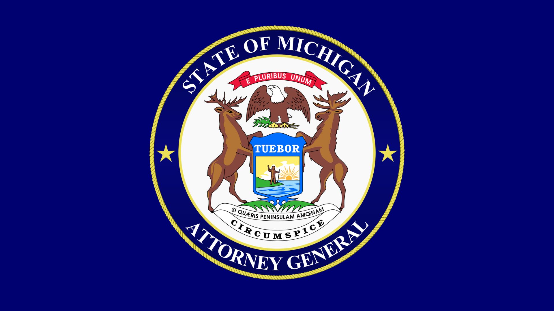 Michigan, California, New York, other states join forces in defending ...